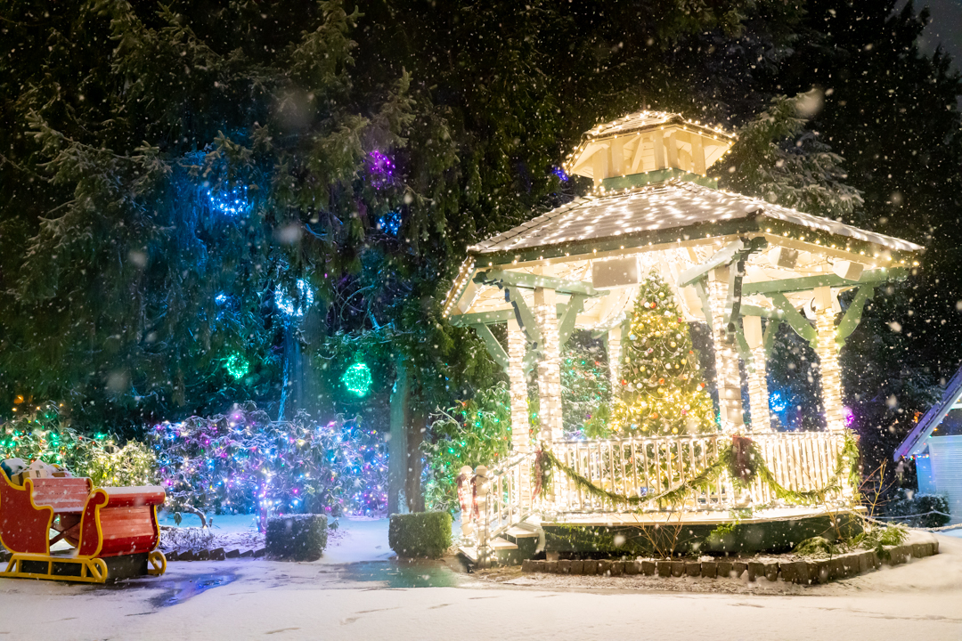 Holiday Lighting Services in Pompano Beach-Boca Raton-Coral Springs ...